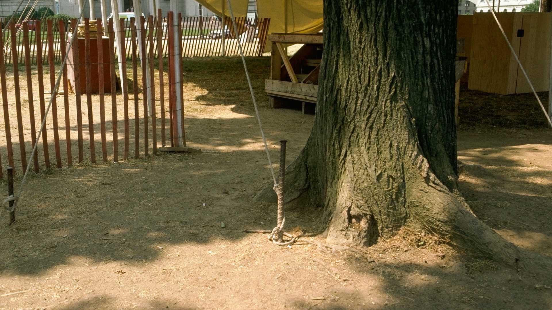 Problems Caused By Compacted Soil University Of Maryland Extension